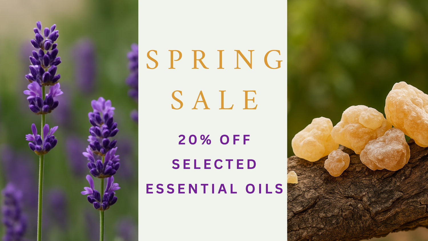 Zurma | High Quality Essentials Oils - Certified Organic Skincare ...